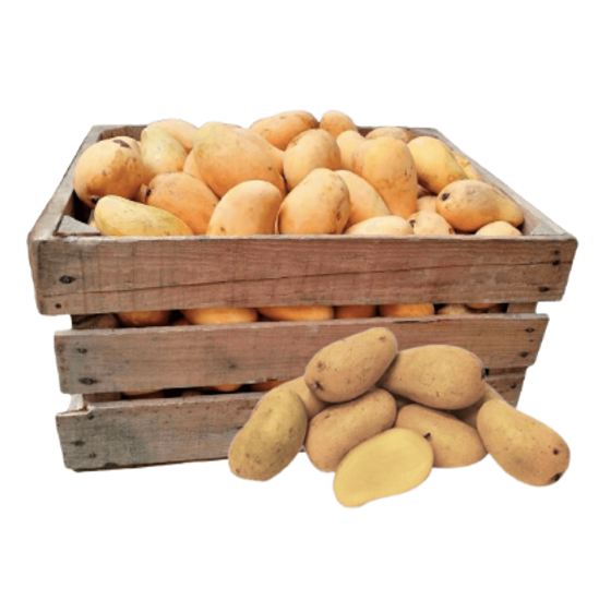 Central en linea - Nuevos productos