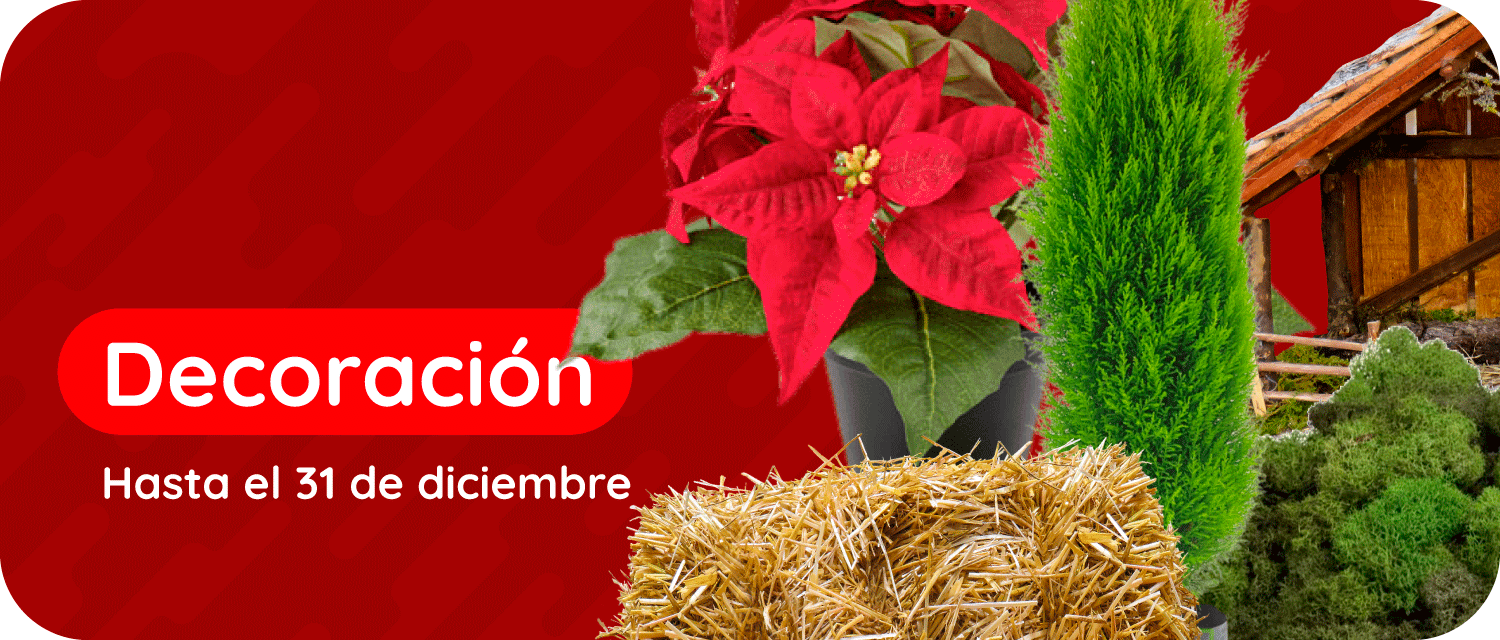 Central en linea - Bazar navideño